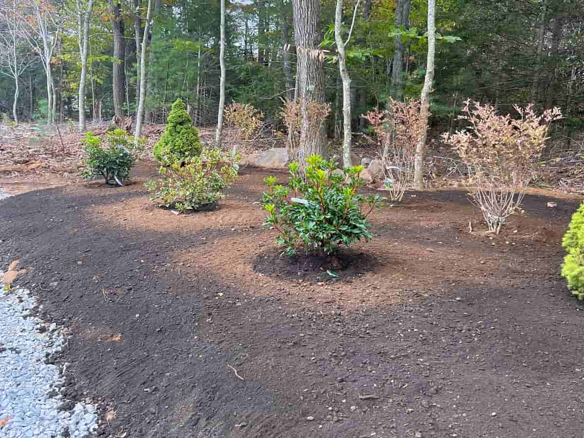 Professional Mulching Services - RLJ Landscape & Construction